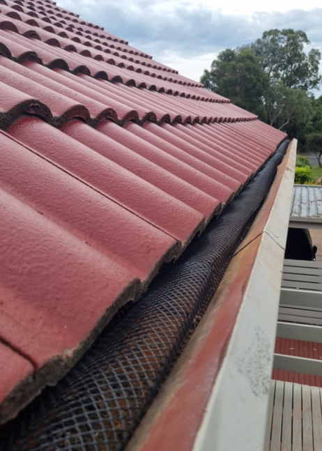 DIY Plastic Gutter Guard Installation (Super Easy)
